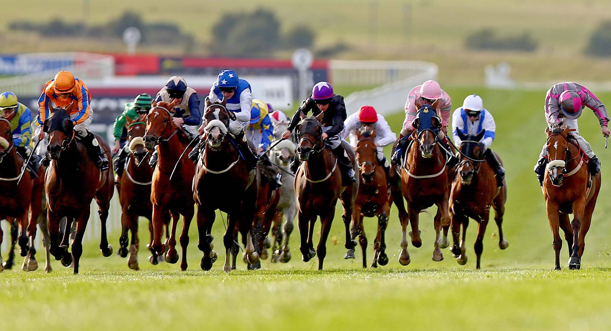 L'Hippodrome du Curragh Horse Racing Course • Guide Irlande.com