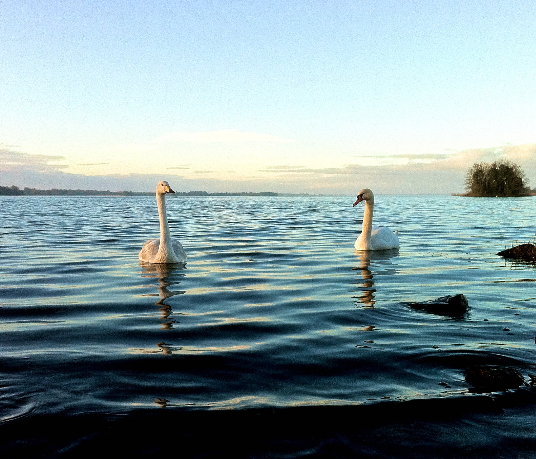 Le Lough Ennell - Lac irlandais • Guide Irlande.com