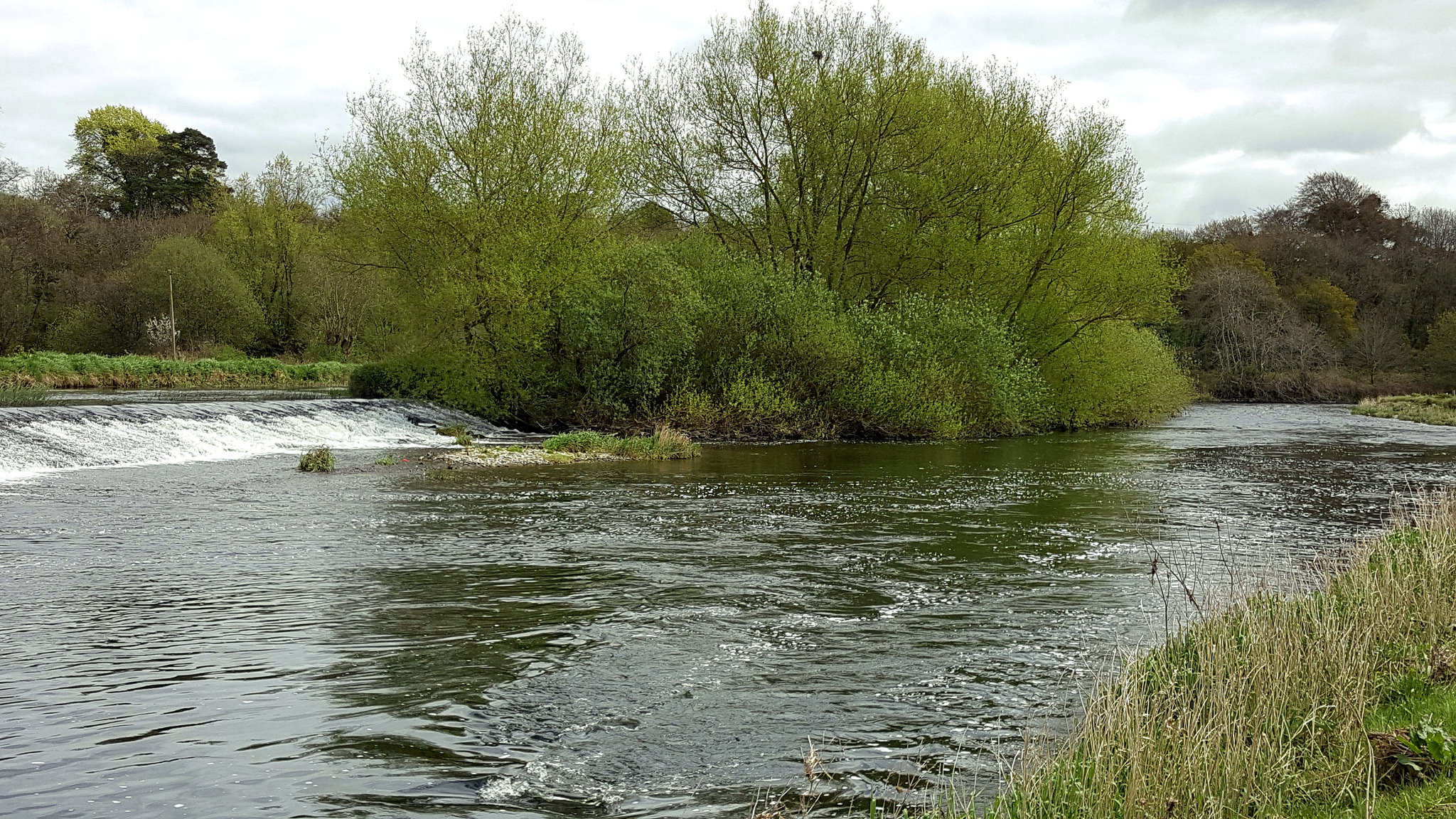 Barrow - Fleuve irlandais du comté de Laois • Guide Irlande.com