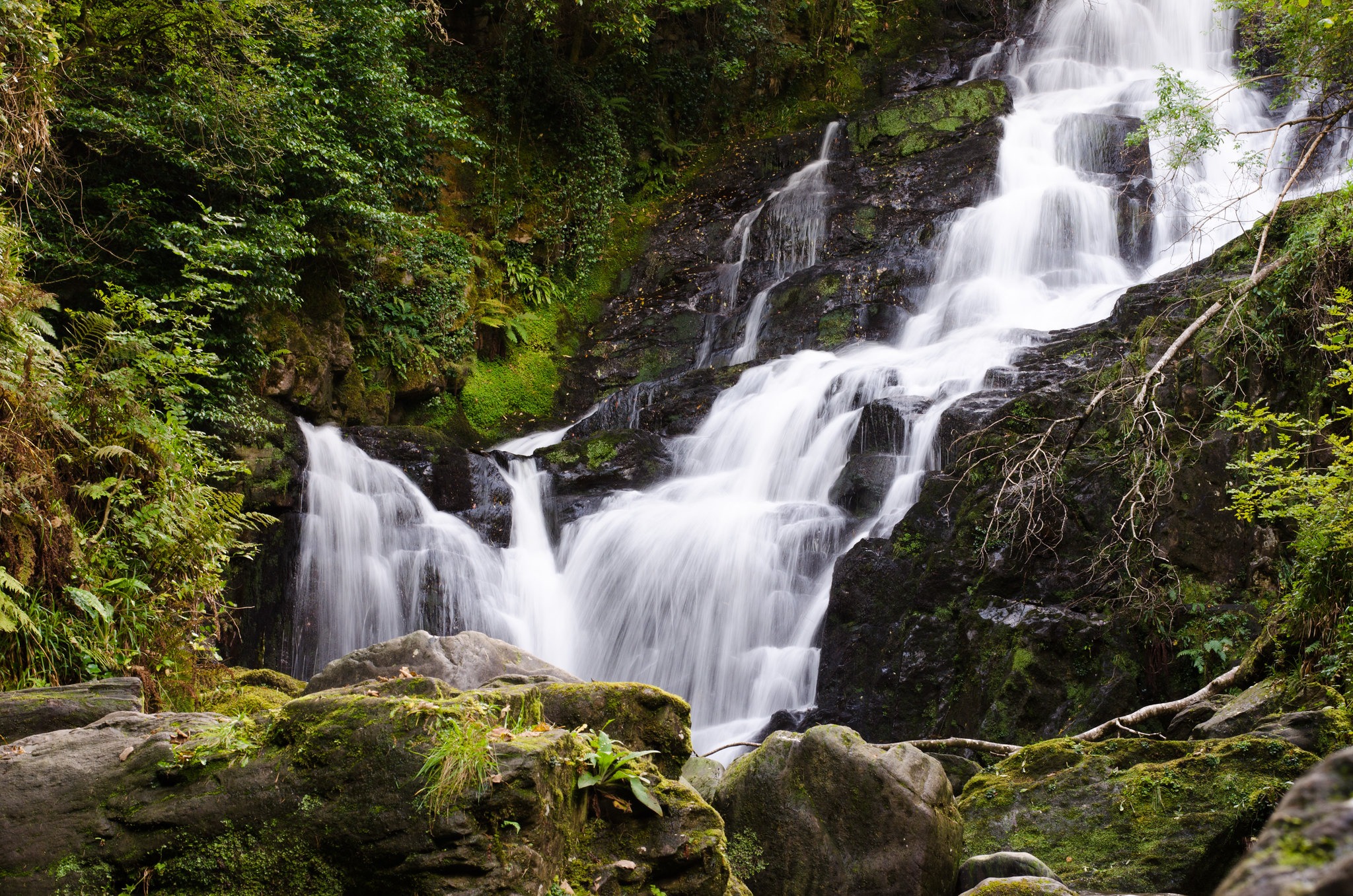 La Torc Waterfall du Parc National de Killarney • Guide Irlande.com