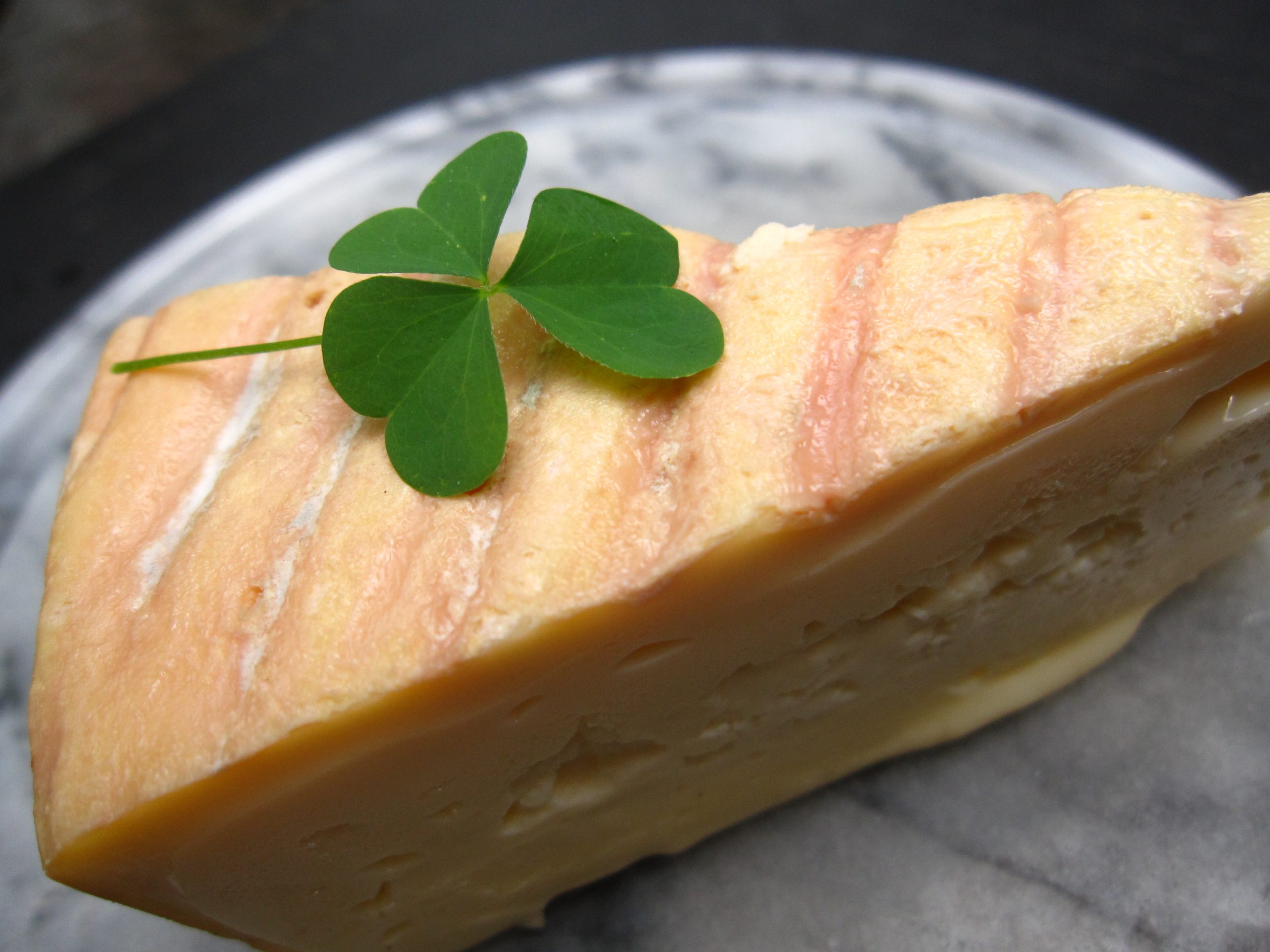 Ardrahan - Fromage irlandais à pâte molle • Guide Irlande.com