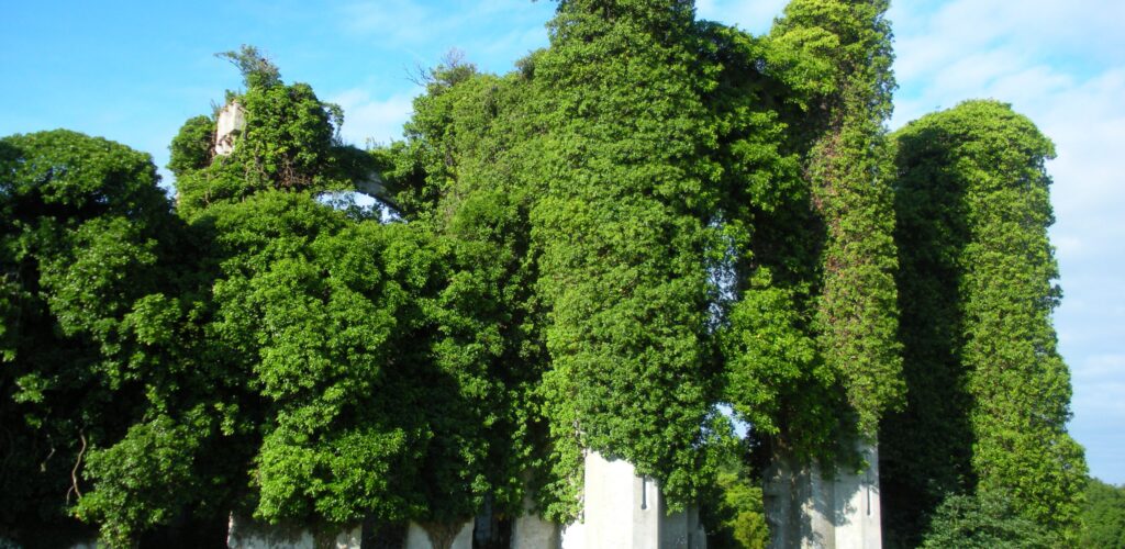 Le Moydrum Castle - château irlandais • Guide-Irlande.com