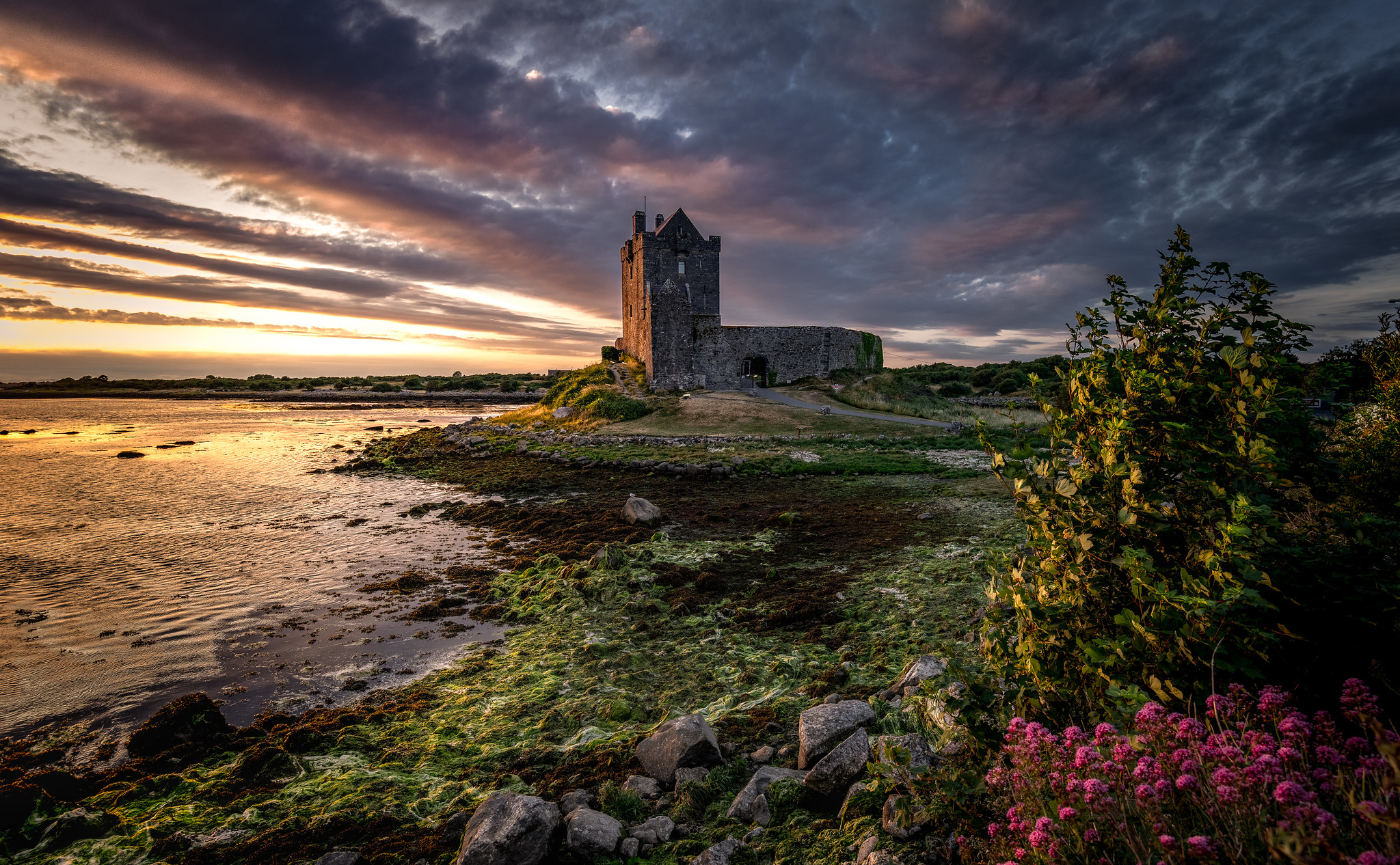 Le Dunguaire Castle - Château de Kinvara • Guide Irlande.com