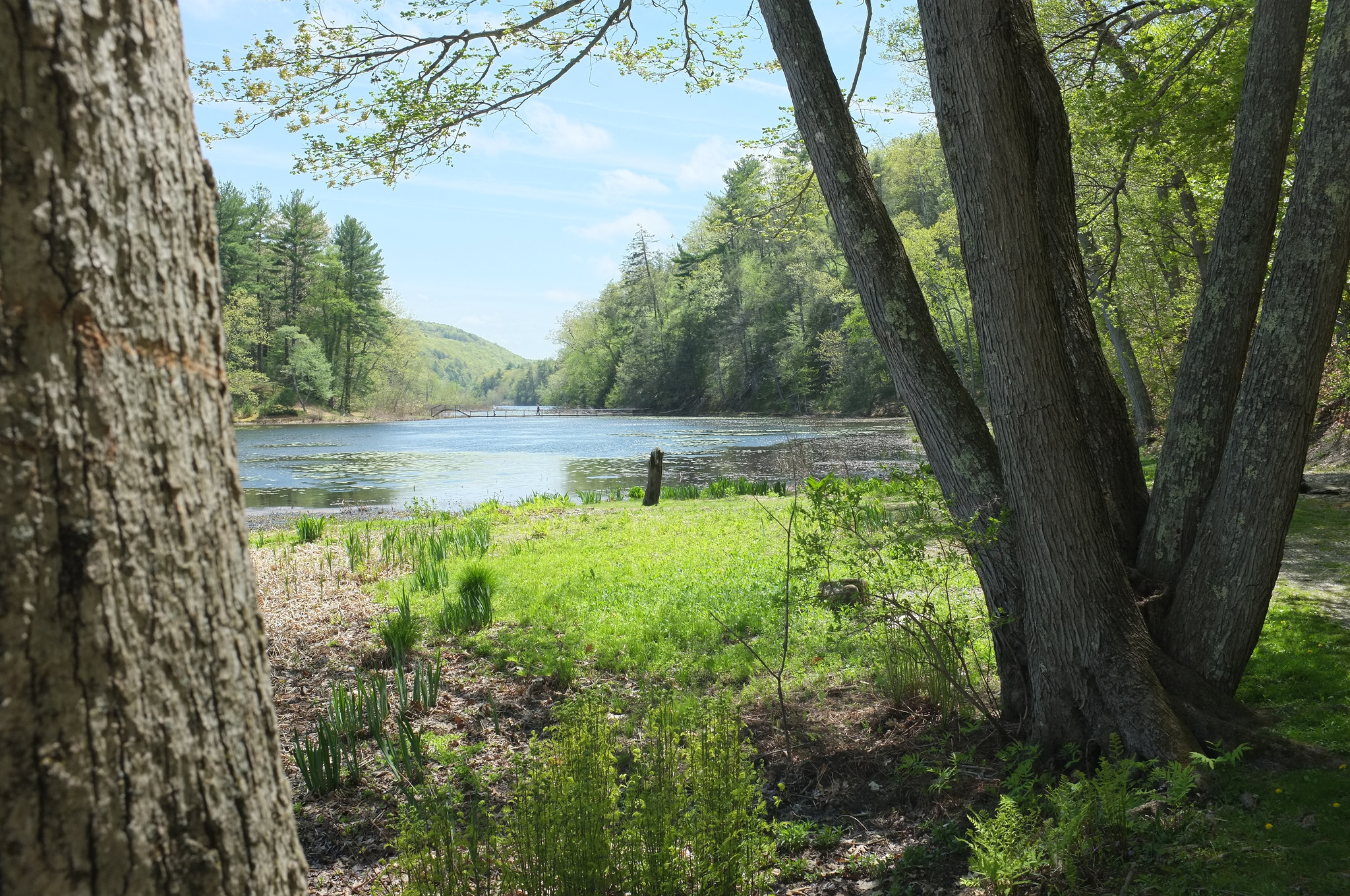 Innisfree - Île du comté de Sligo • Guide Irlande.com