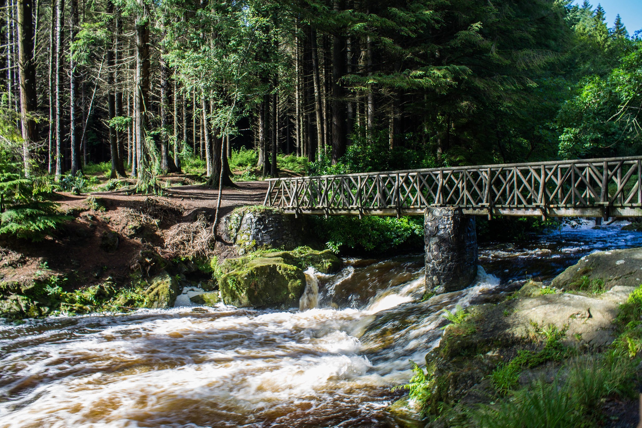 Tollymore Forest Park • Guide Irlande.com