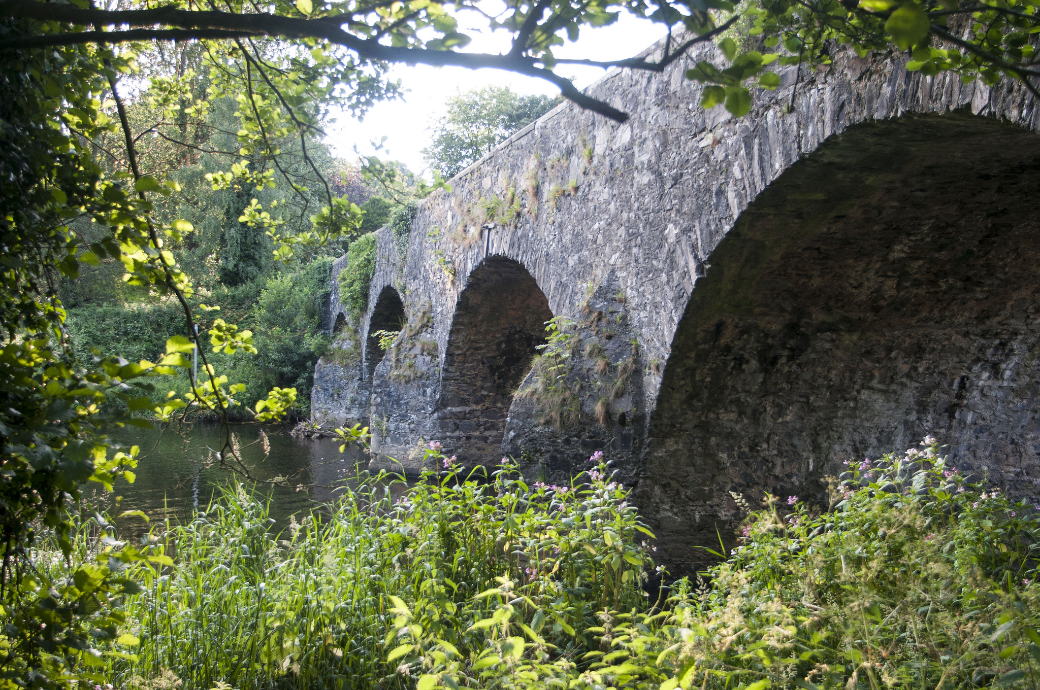 Le Shaw's Bridge de Belfast - Pont en Irlande du Nord | Guide Irlande.com
