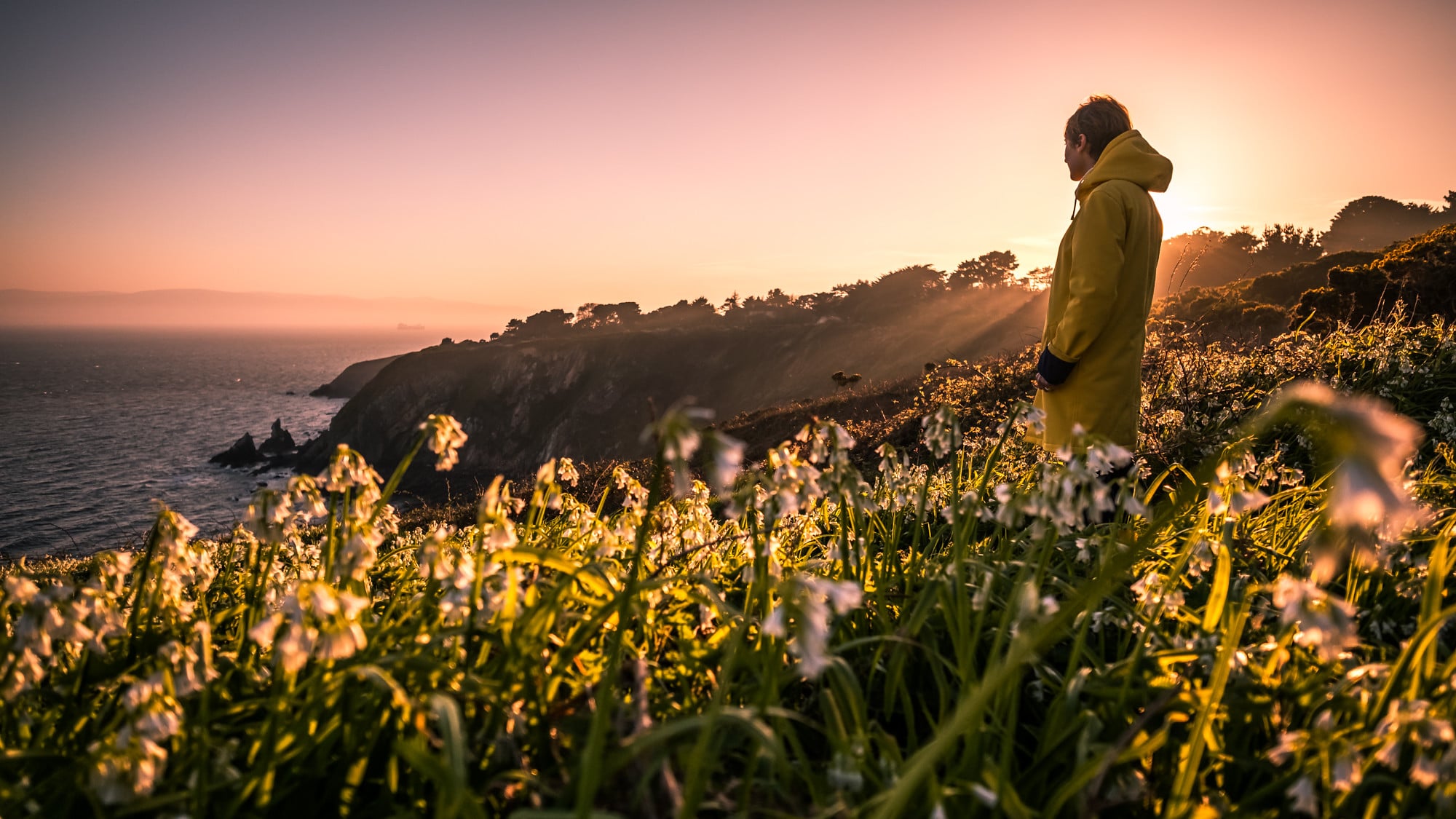 Le Howth Cliff Path - Randonnée à Howth • Guide Irlande.com