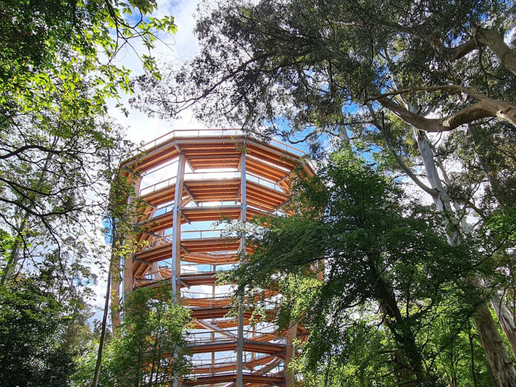 Beyond the trees Avondale à Rathdrum • Guide-Irlande.com