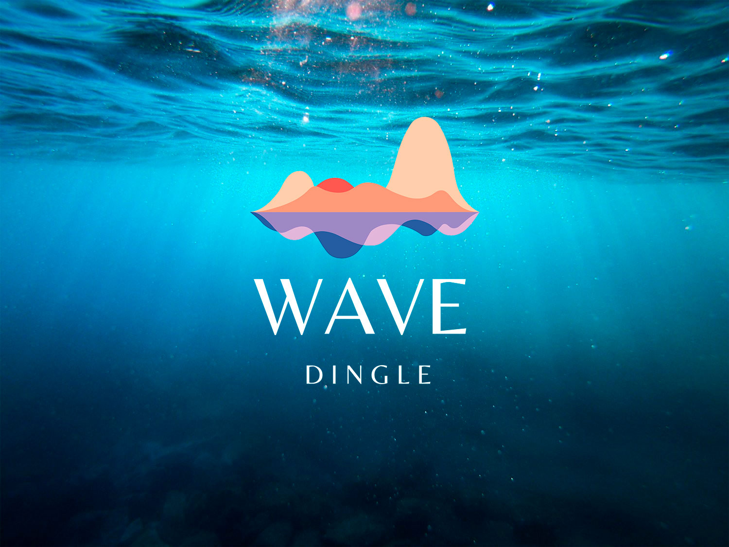 WAVE Dingle - Musée sur l'océan à Dingle • Guide Irlande.com