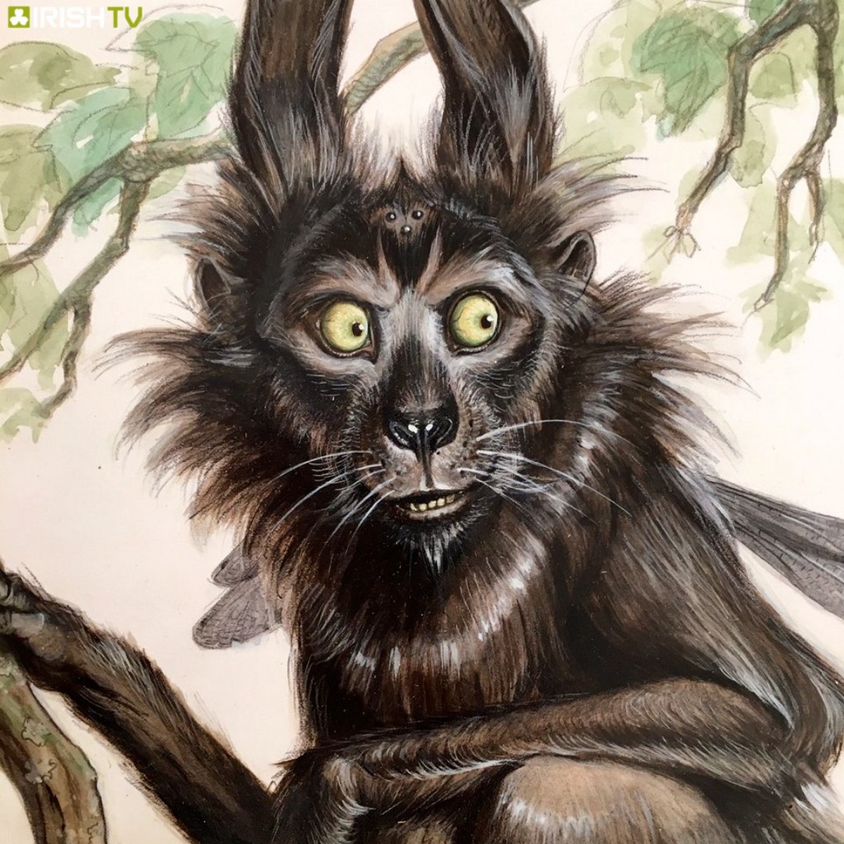 Le Púca - Créature folklorique irlandaise • Guide Irlande.com