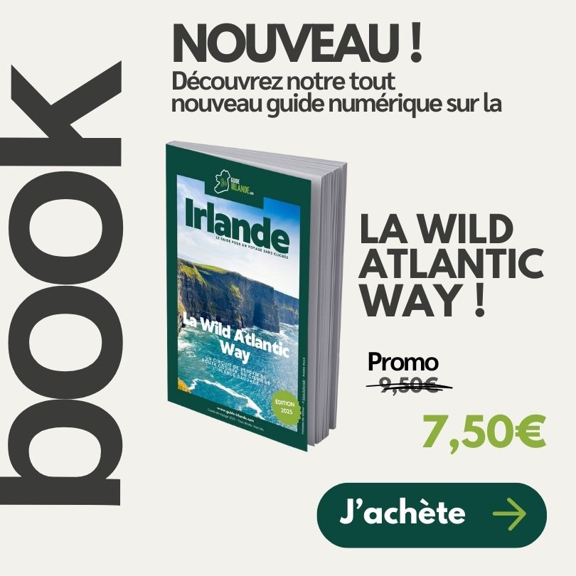 La harpe irlandaise - Instrument irlandais • Guide-Irlande.com