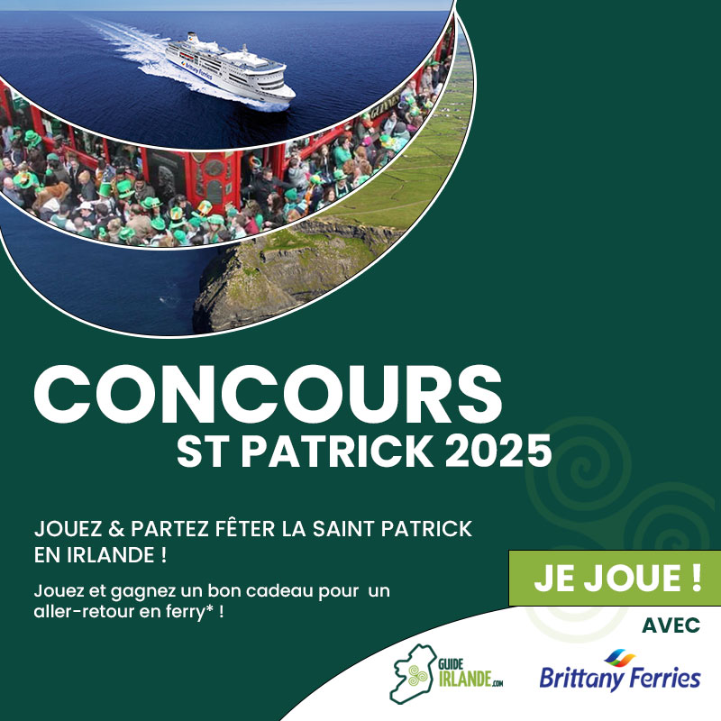 Partez en week-end à Dublin pour la Saint Patrick 2025 ! • Guide ...