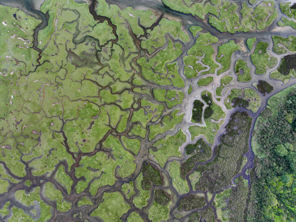 Mulranny Salt Marsh - Marais irlandais • Guide-Irlande.com