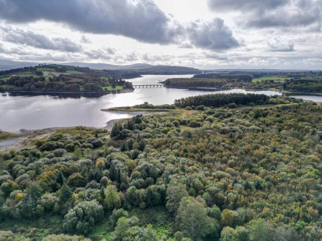 Le Pollaphuca Reservoir • Guide-Irlande.com